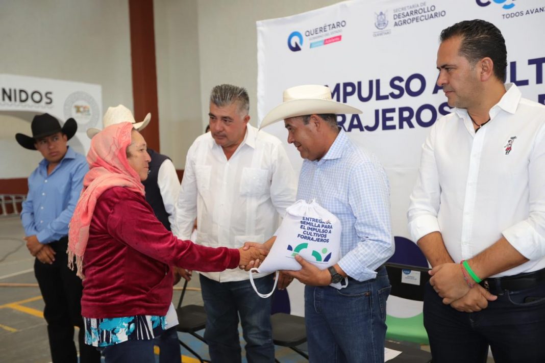 Concluye SEDEA programa emergente de semilla en los 18 municipios ...